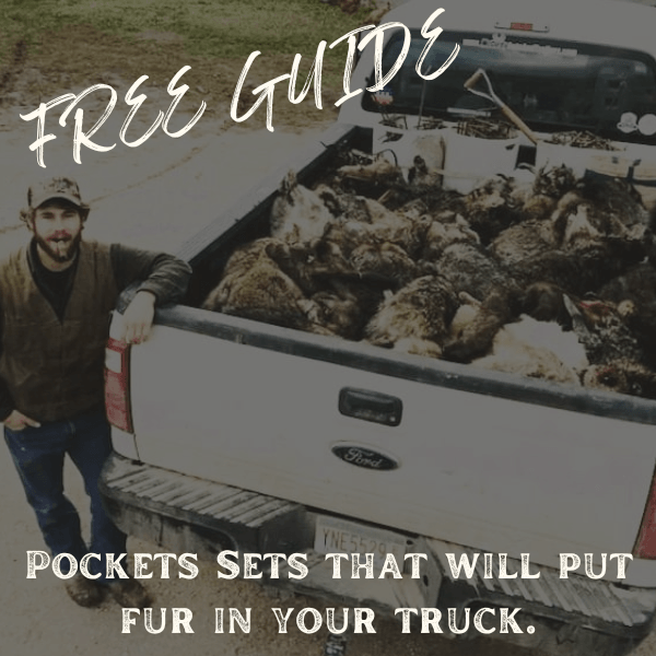 How to make a Pocket Set - Basic Trapping Sets – IronTrail Trapline ...