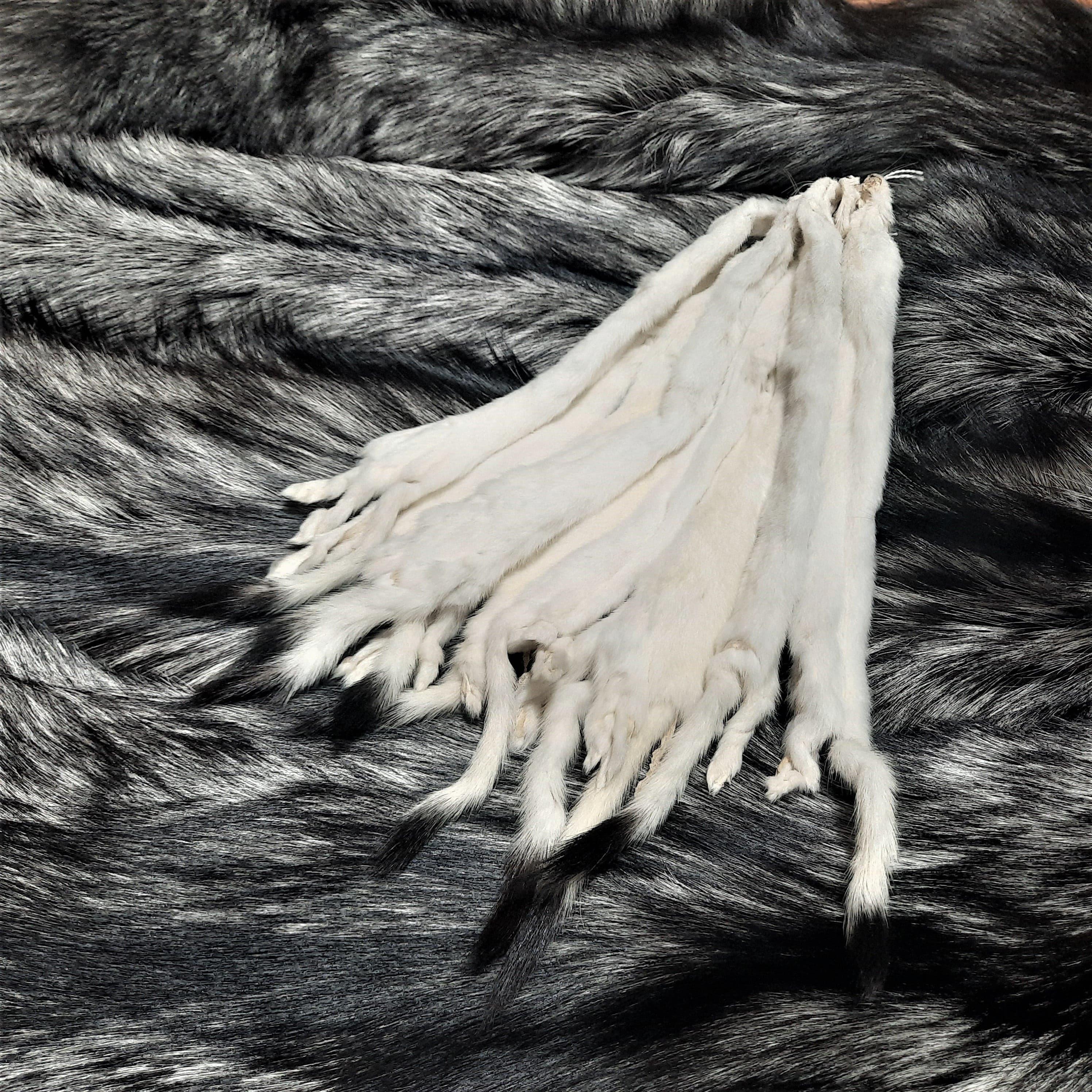 Tanned Weasel (Ermine) Pelt – IronTrail Trapline Supply, LLC
