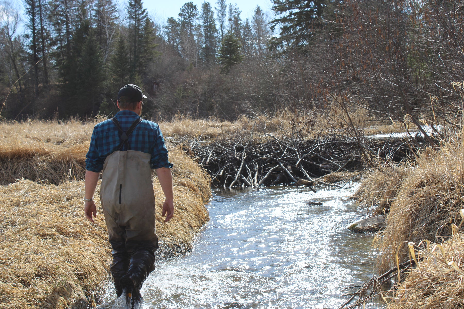 IronTrail Trapline┃Traps, Trapping Supplies, Lures, Baits – IronTrail ...