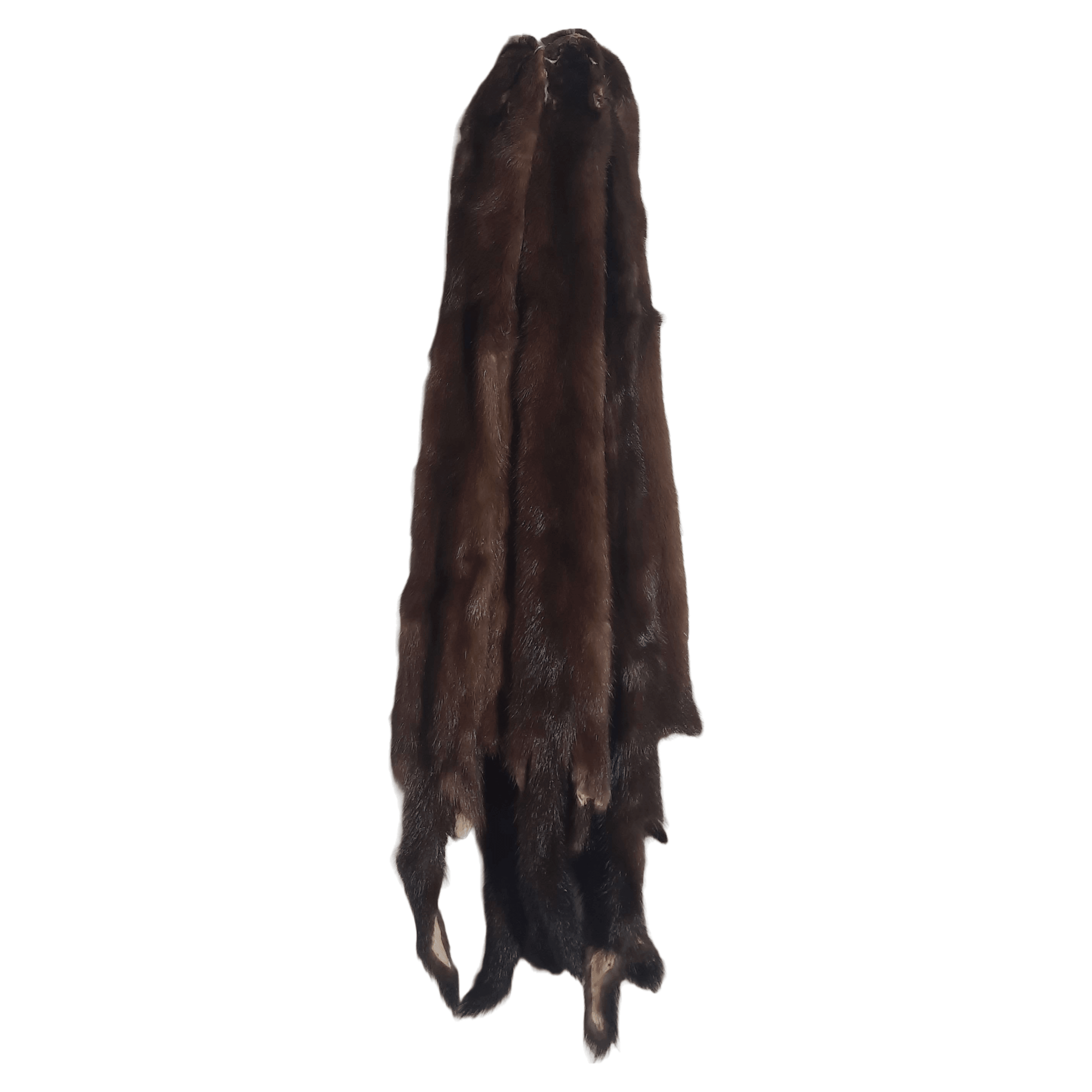Tanned Mink Pelt - Wild – IronTrail Trapline Supply, LLC