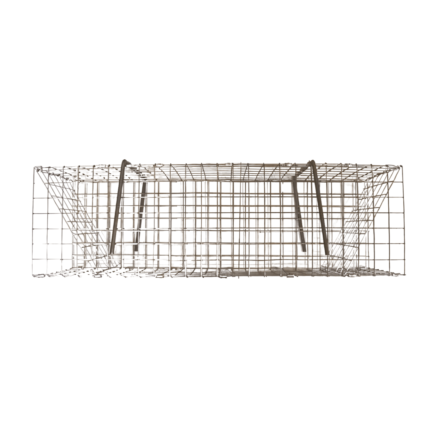 Folding Colony Muskrat Trap - 6x6x24 – IronTrail Trapline Supply, LLC