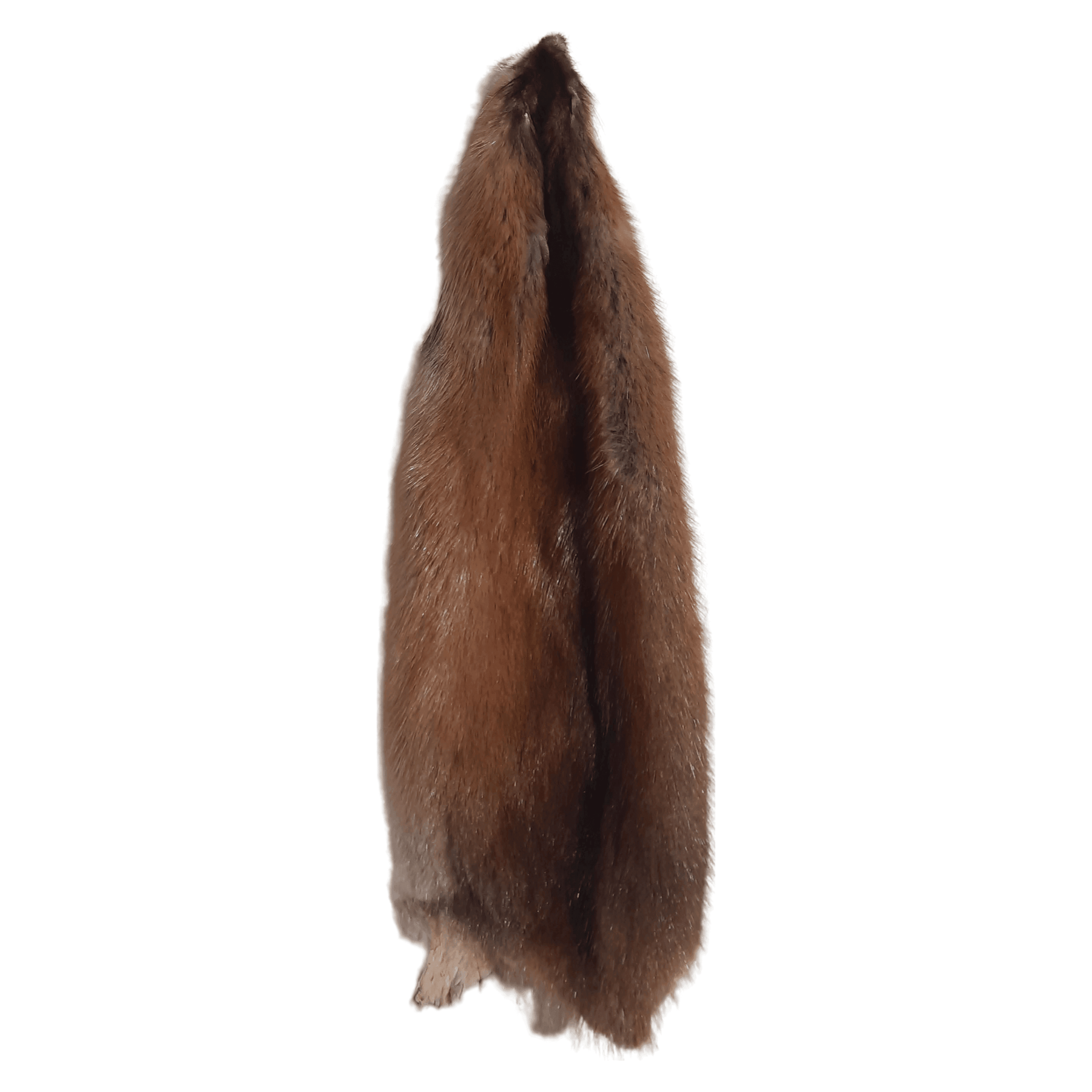 Tanned Muskrat Pelt – IronTrail Trapline Supply, LLC