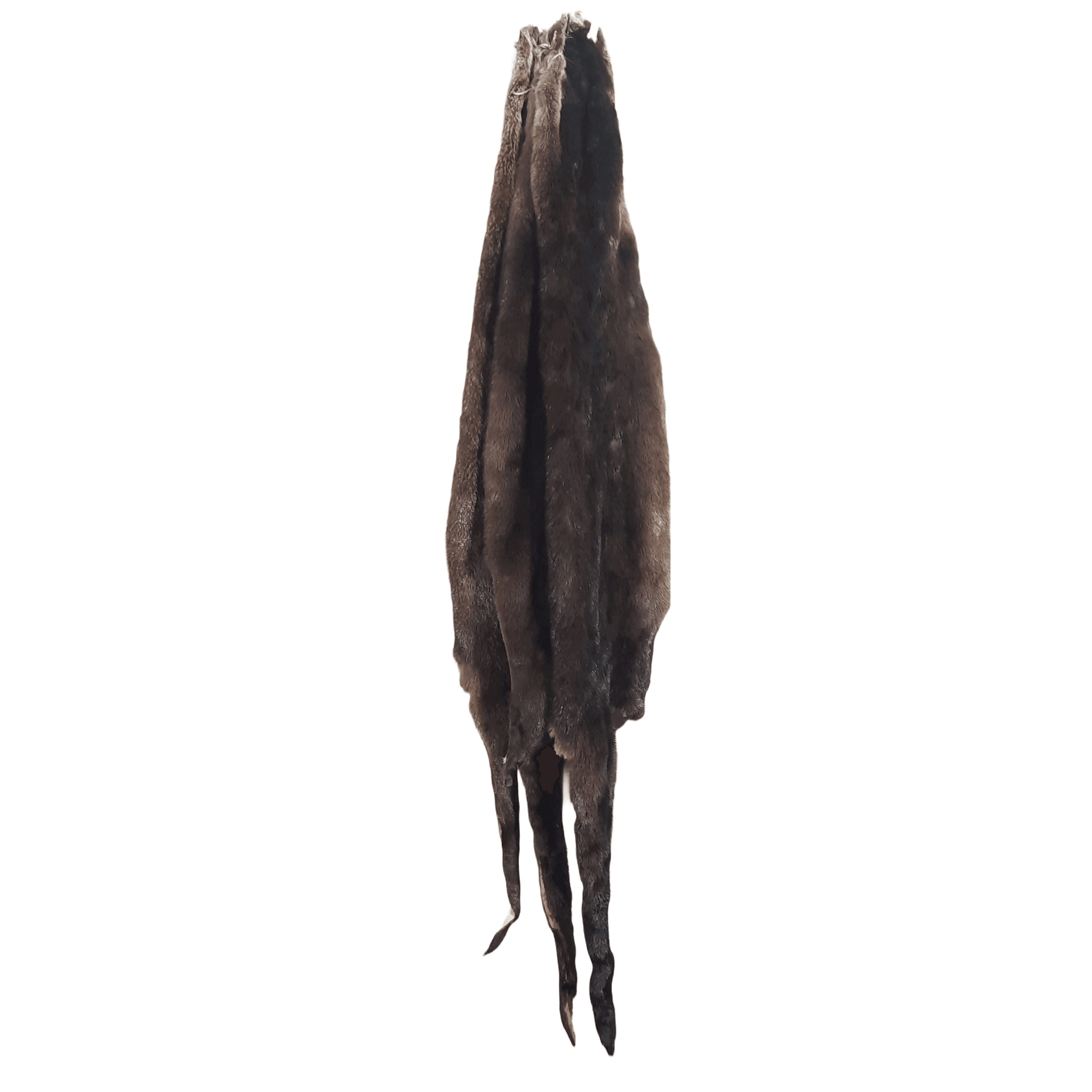 Tanned Otter Pelts – IronTrail Trapline Supply, LLC